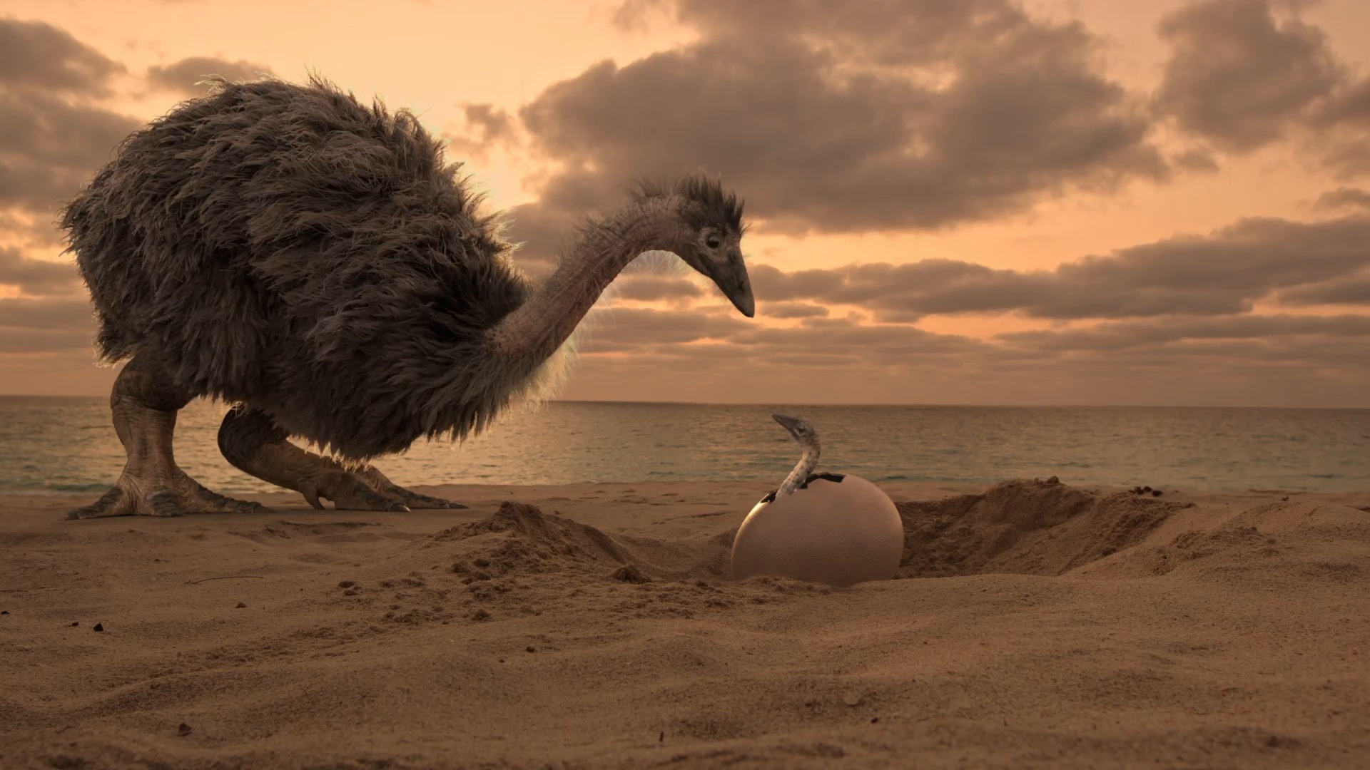 THE MYSTERY OF THE GIANT BIRDS - Saint Thomas Productions