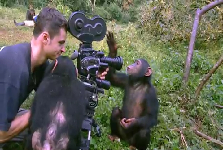 WILDLIFE FILMMAKERS: MISHAPS & DANGERS - Saint Thomas Productions